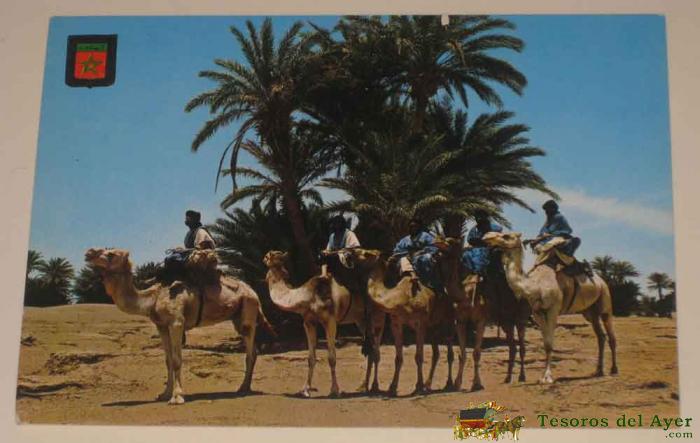 Épinglé sur Sahara español (Spanish Sahara, Sahara espagnol) 1884 ...