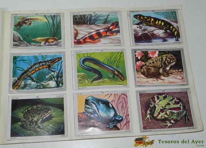 TesorosDelAyer.com · ALBUMES DE CROMOS · ALBUMES DE CROMOS · ALBUM ...